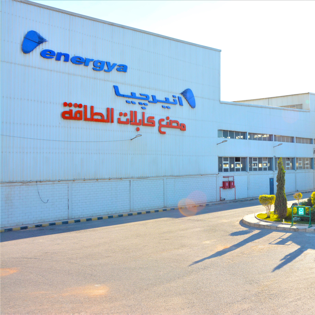 ELECTRICAL CABLES & WIRES - Energya Industries